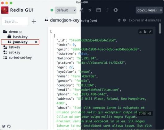 Top 5 Redis GUI Tools for Windows PCs