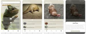 8 Best Animal Identifier Apps [Find Animals in Picture]