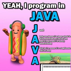 75 Funny Java Programming Memes That Everyone Can Relate To